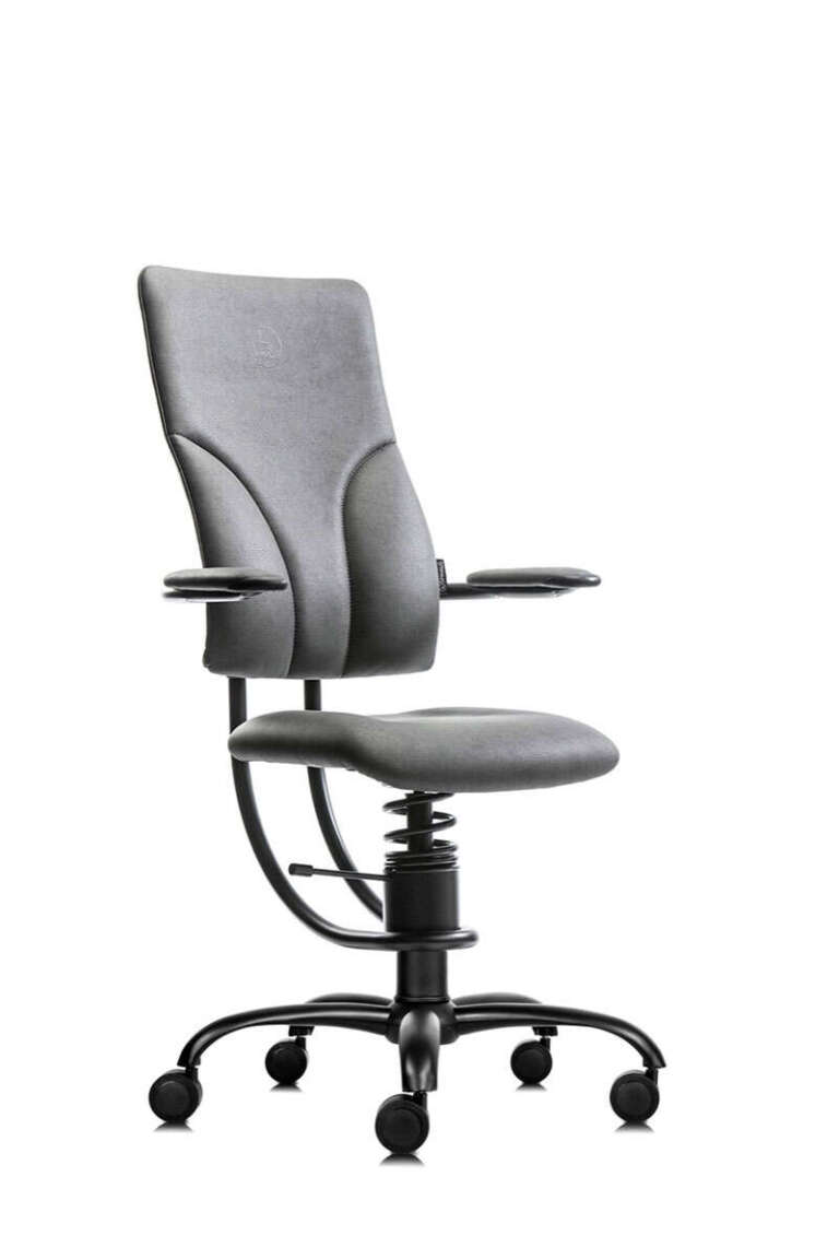 Office chairs - Office chairs Spinalis