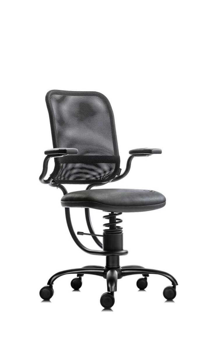Office chairs - Office chairs Spinalis