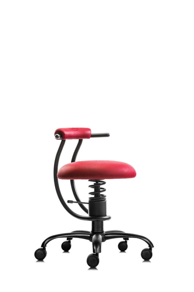 Office chairs - Office chairs Spinalis
